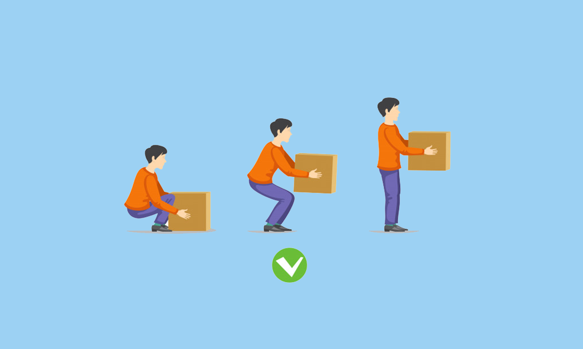 Levantamento Manual de Cargas Sem Lesões - DDS Online